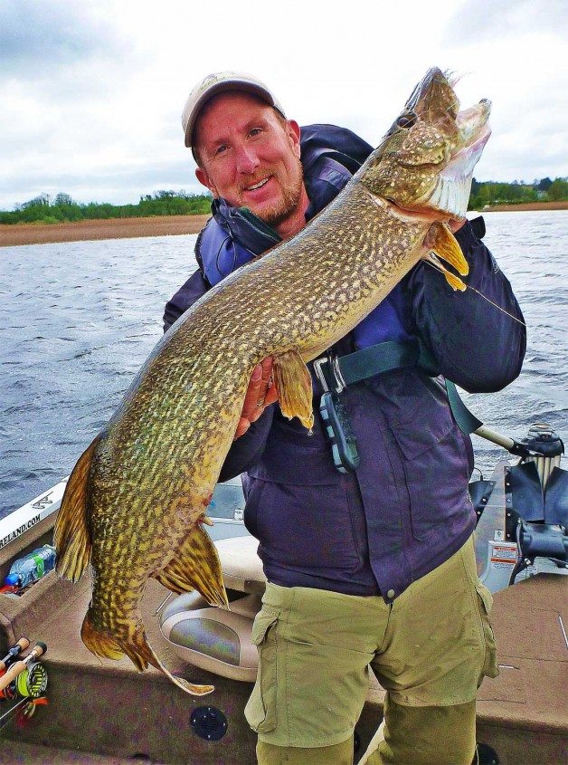 May update – Big Pike on fly! | Guided-Fishing.com